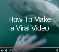 How To Make a Viral Video
